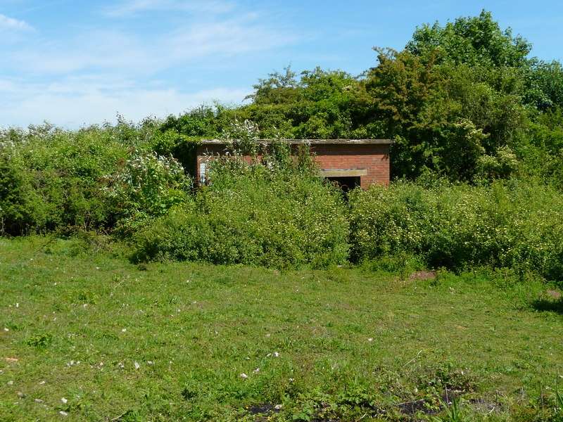 Let's put nature first at Bushfield Camp - XR Winchester